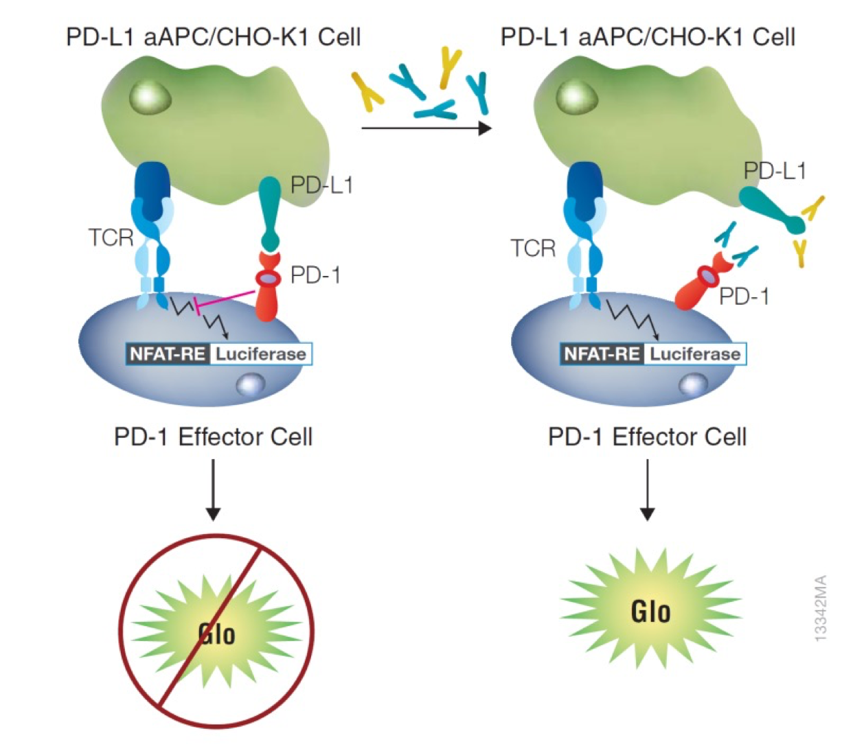 NA - Biologics Selector Page