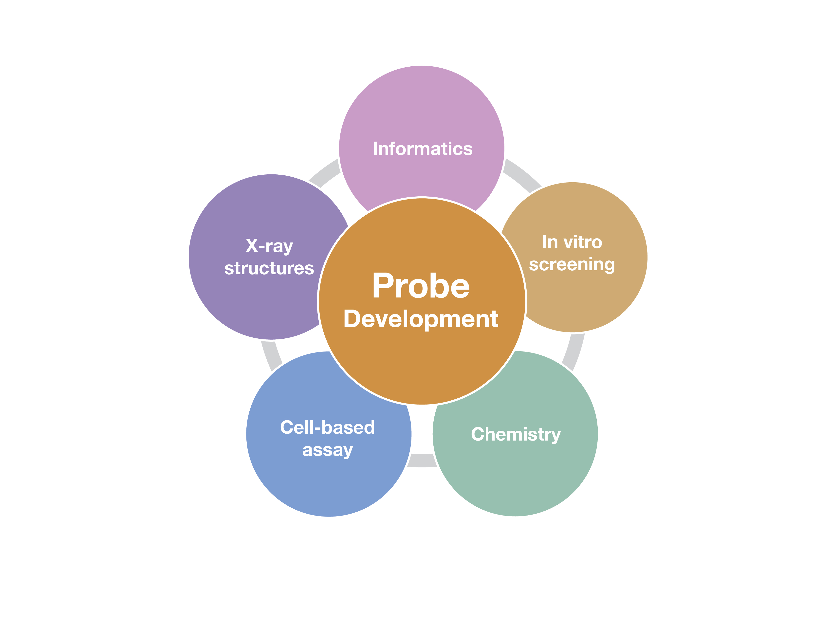 Advancing Biomedical Research with Quality Chemical Probes