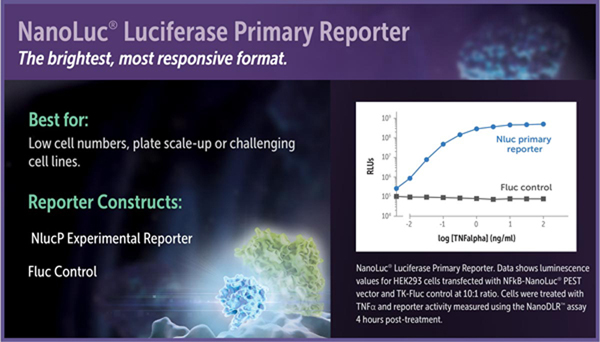 Mix and Match Primary and Control Reporters using the NanoDLR™ Dual ...