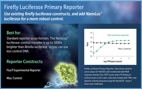 Mix and Match Primary and Control Reporters using the NanoDLR™ Dual ...