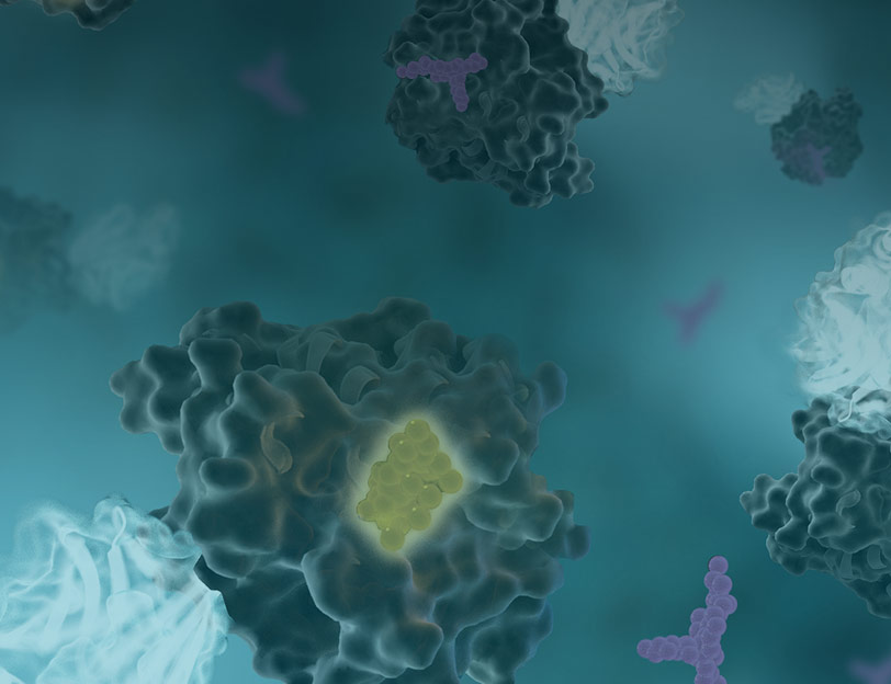 Cell-Based and Biochemical Assays