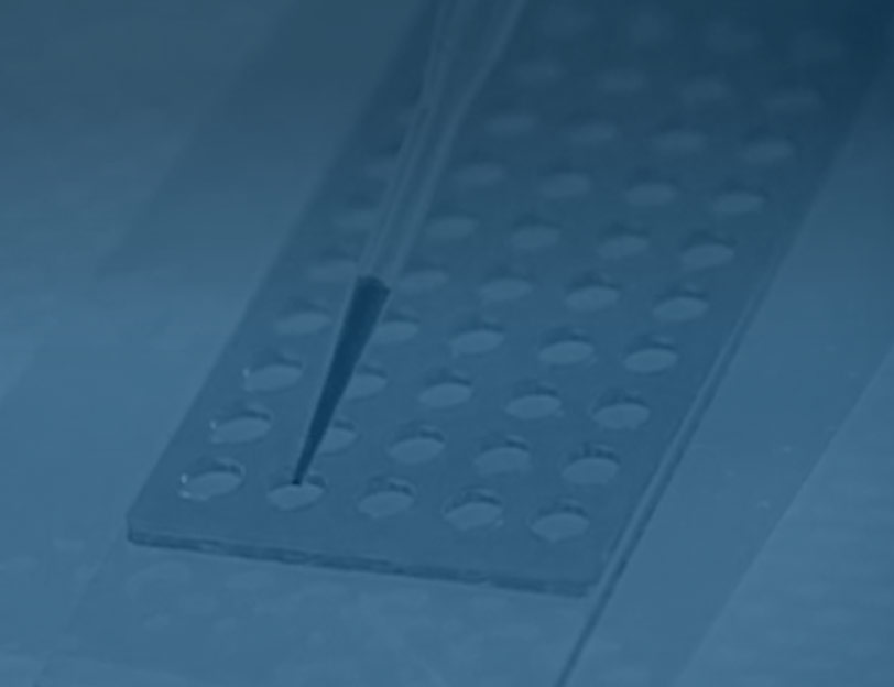 Protein Analysis and Complex Purification