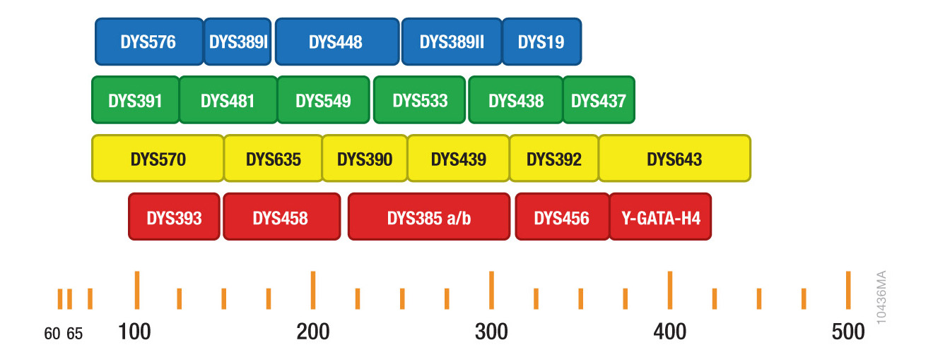 PowerPlex® Y23 System