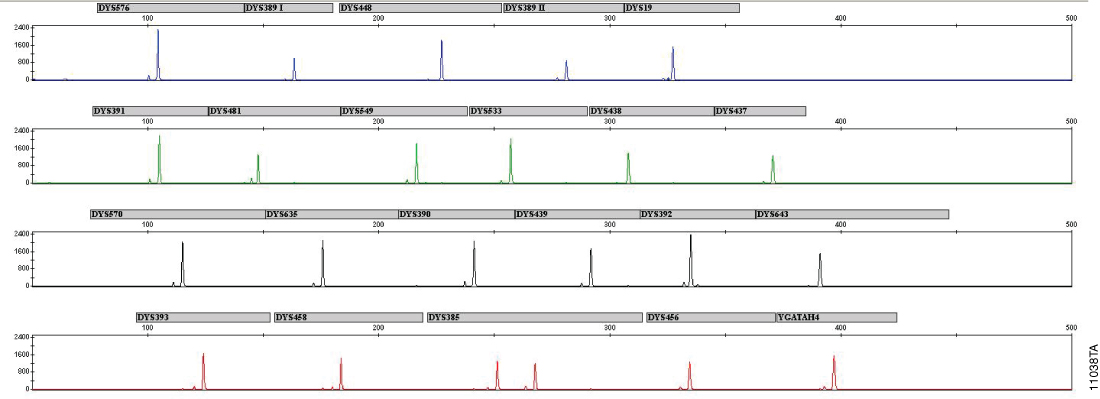 The PowerPlex® Y23 System: A New Y-STR Multiplex for Casework and ...