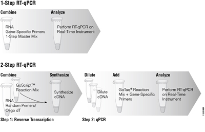 Real-Time qPCR and RT-qPCR Kits