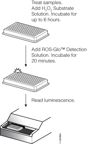 A New Luminescent Assay for Detection of Reactive Oxygen Species