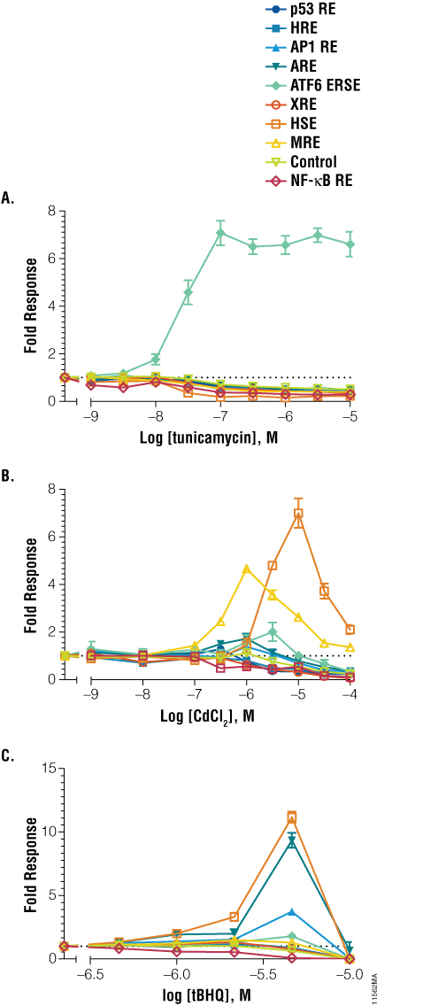 Novel pGL4 Reporter Vector Panel for Profiling Cellular Stress and ...