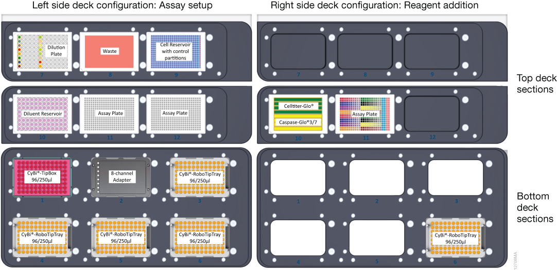 Reliable Automated Cytotoxicity Profiling for Chemistry-Focused ...