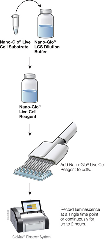 Nano-Glo® Live Cell Assay System