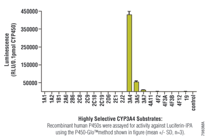P450-Glo CYP450 Assay